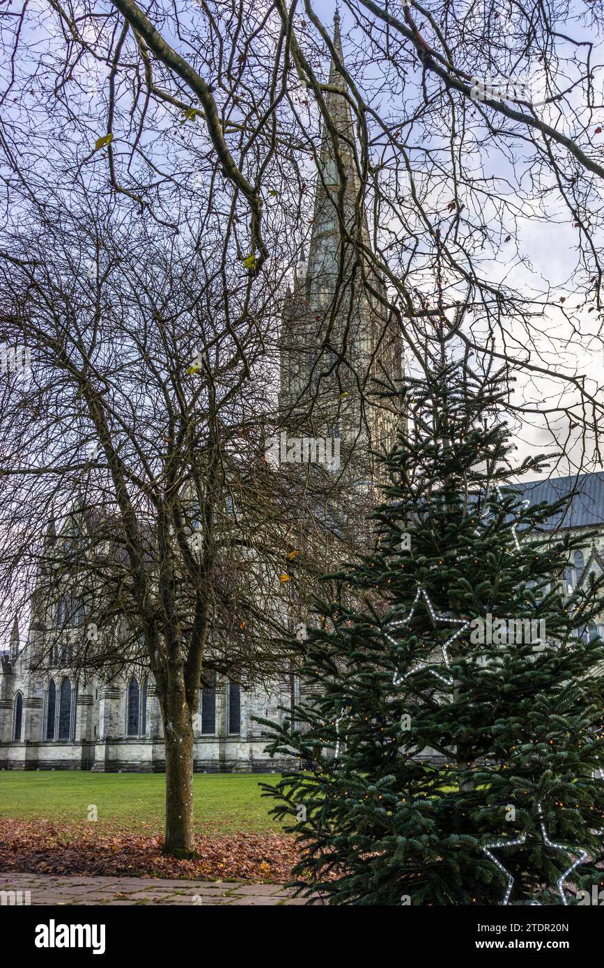 Salisbury Cathedral obscured by tree branches during Christmas ...