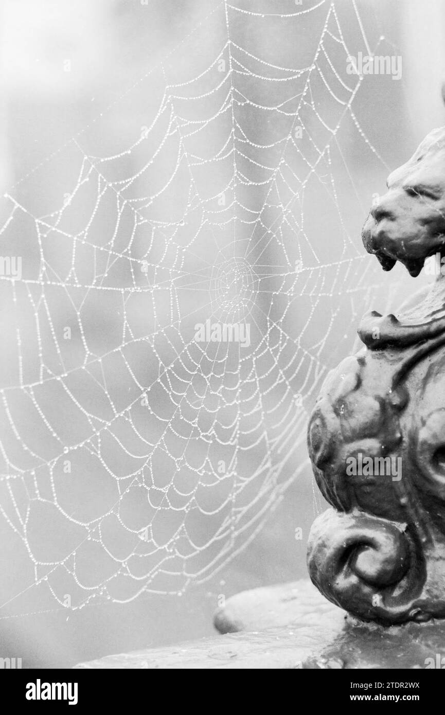 Spider web bridge, 08-10-1991, Whizgle News from the Past, Tailored for ...