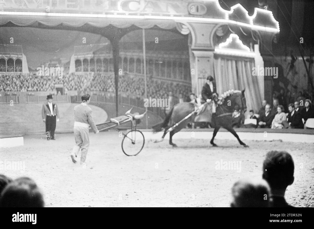 Circus 'Americano', horse, 00-00-1960, Whizgle News from the Past ...