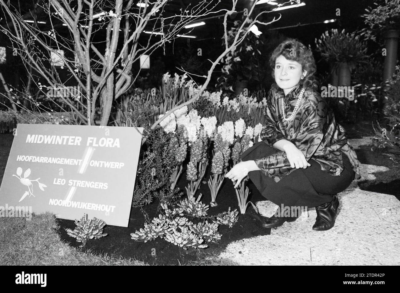 Opening midwinter flora hi-res stock photography and images - Alamy