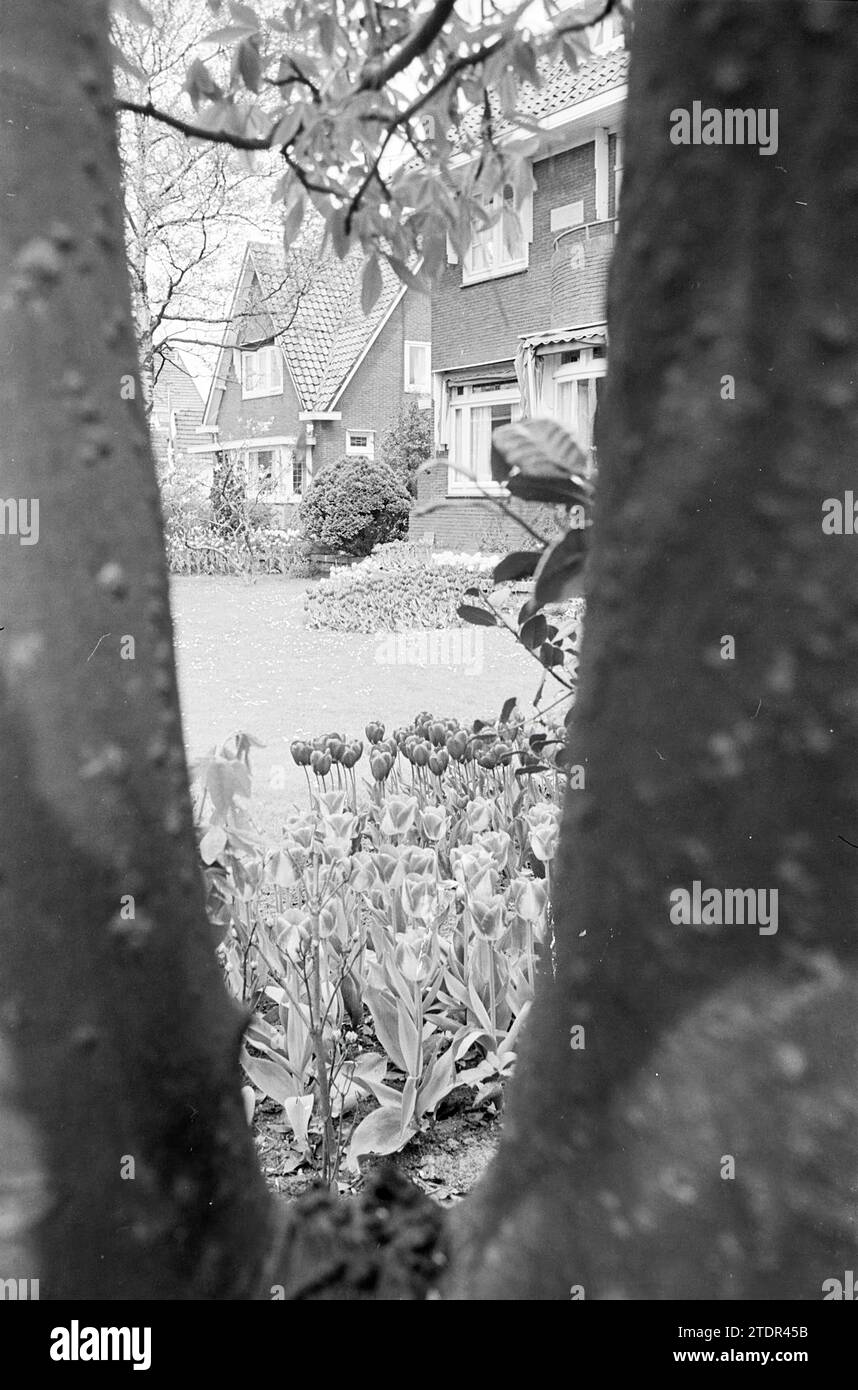 Limmen hi-res stock photography and images - Alamy