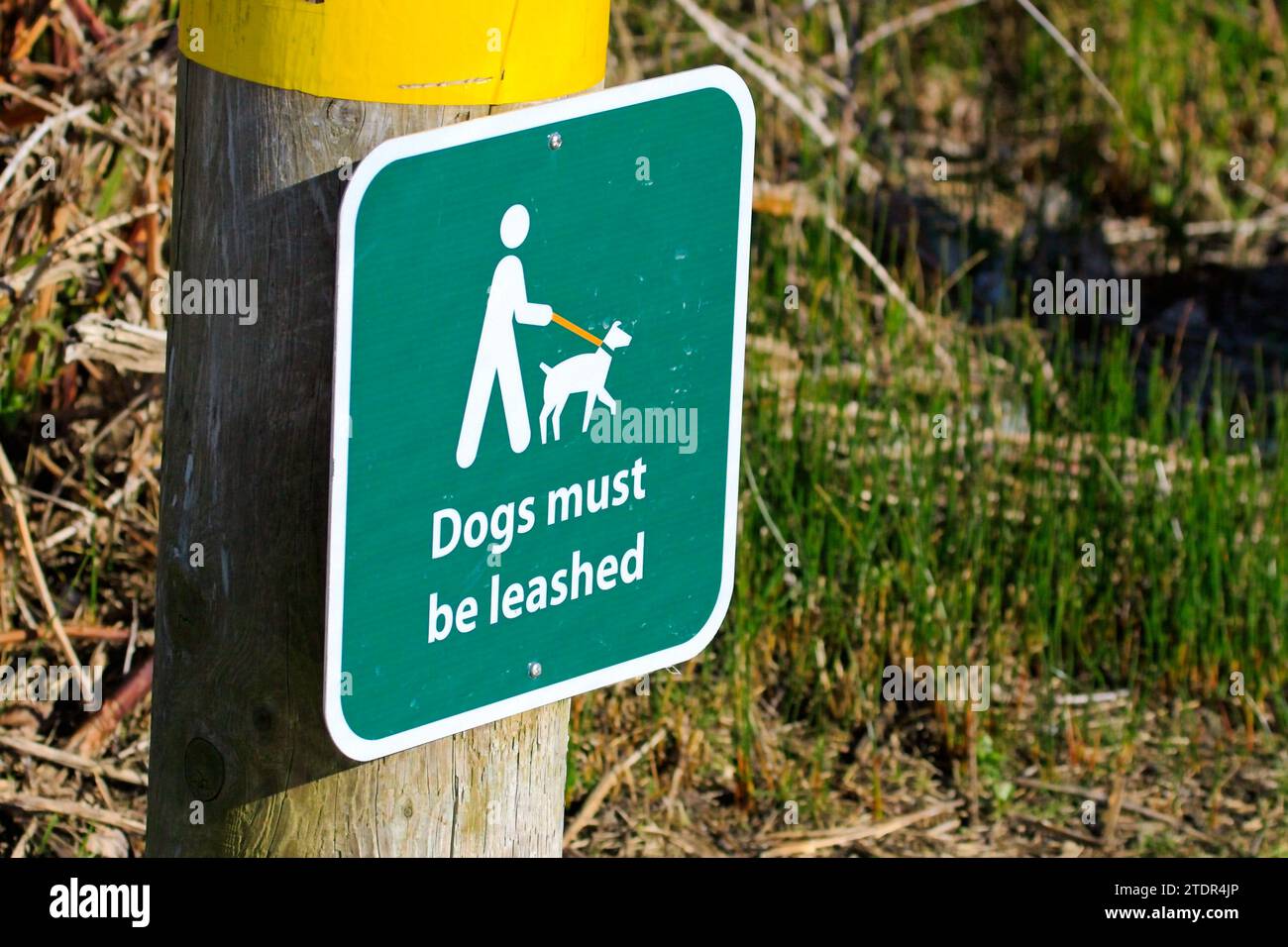 Dogs must be leashed sign Stock Photo - Alamy