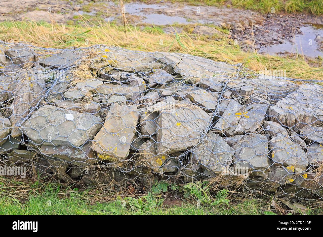 Netting texture hi-res stock photography and images - Alamy