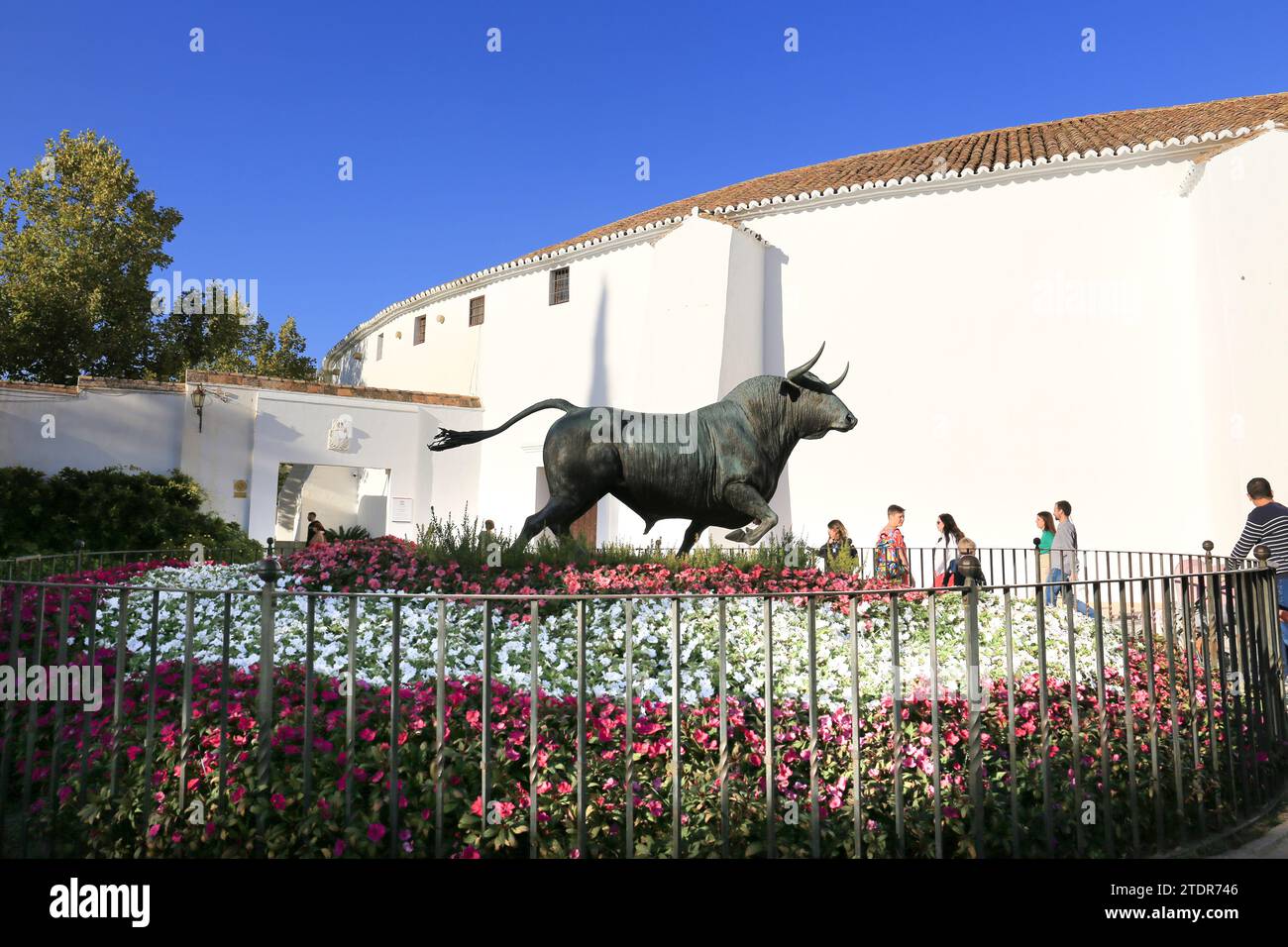 Ronda, Malaga, Spain- October 23, 2023: Bull sculpture at The Real ...
