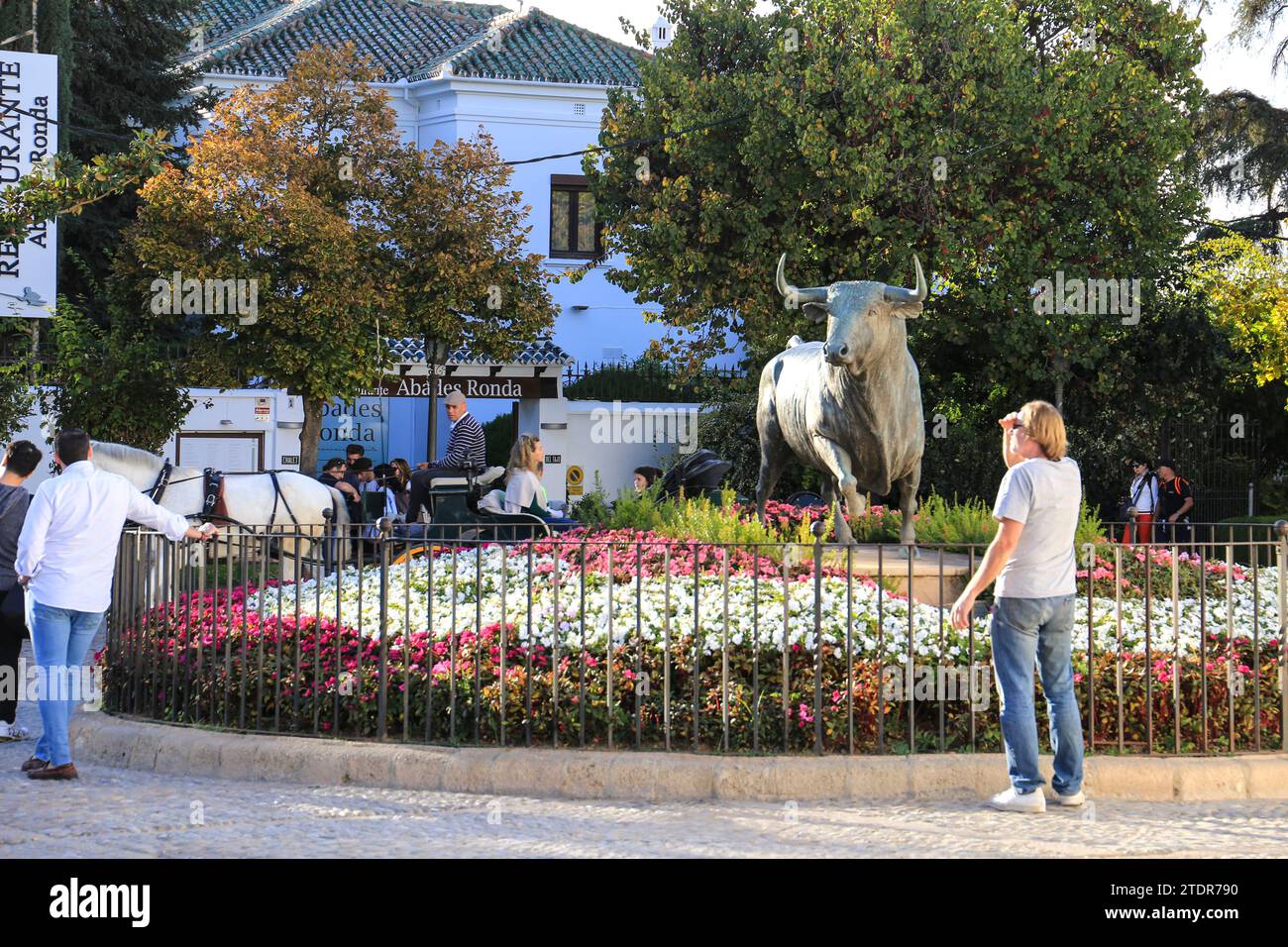 Ronda, Malaga, Spain- October 23, 2023: Bull sculpture at The Real ...