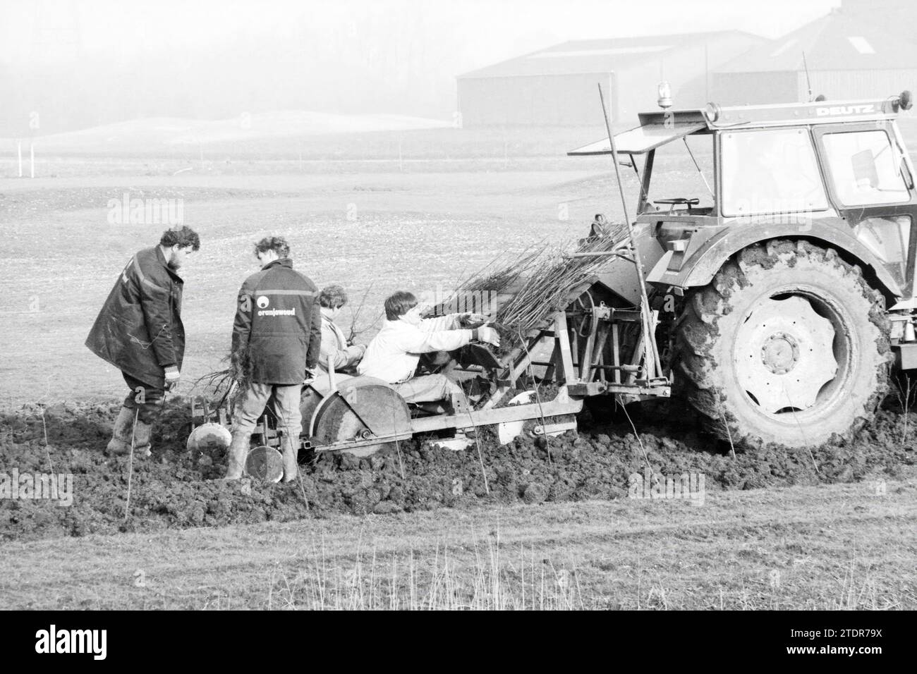Planting trees in Spaarnwoude, 28-01-1991, Whizgle News from the Past ...