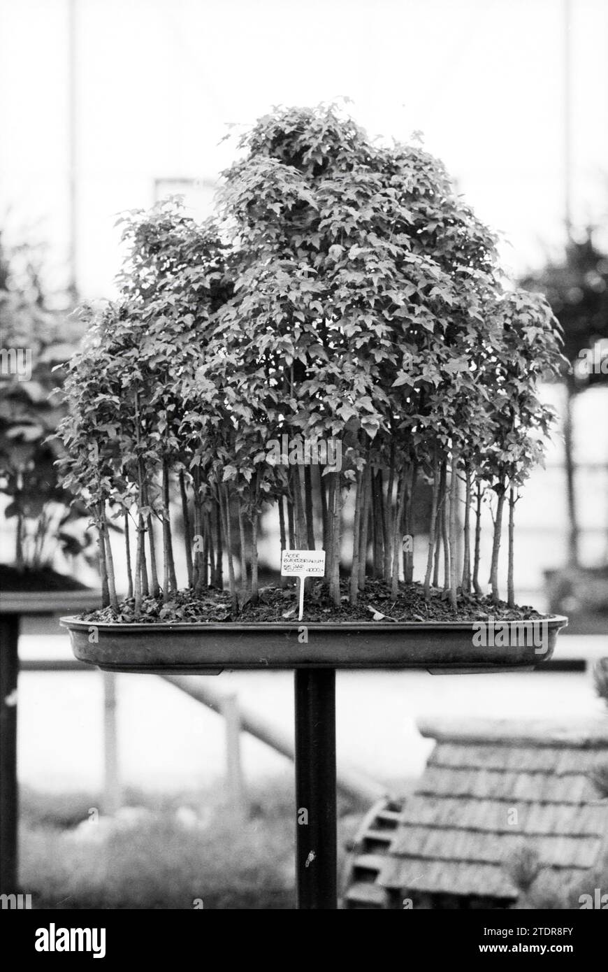 29 09 1991 hi-res stock photography and images - Alamy