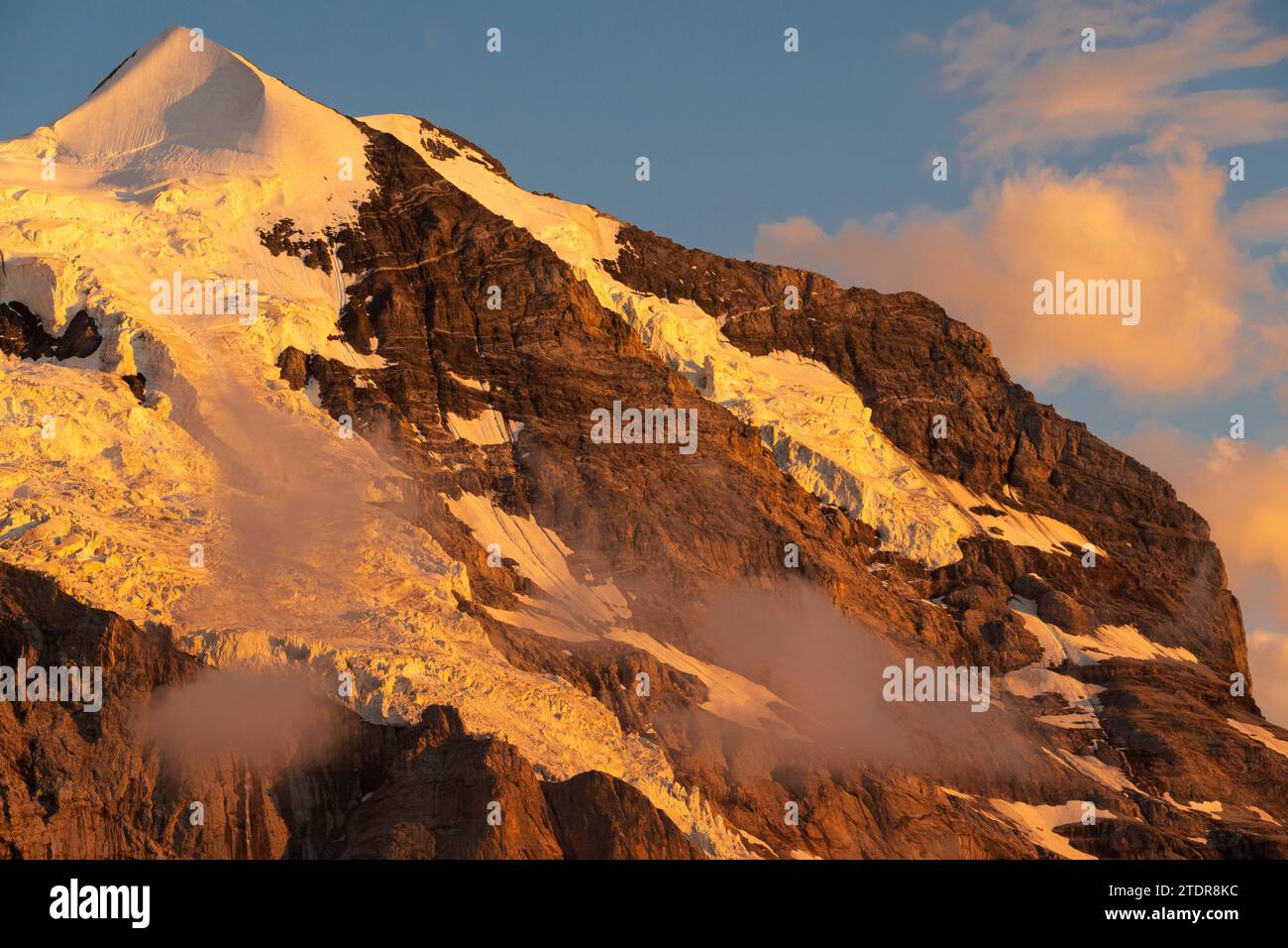 The Silberhorn in alpenglow, Bernese Oberland, Switzerland Stock Photo ...