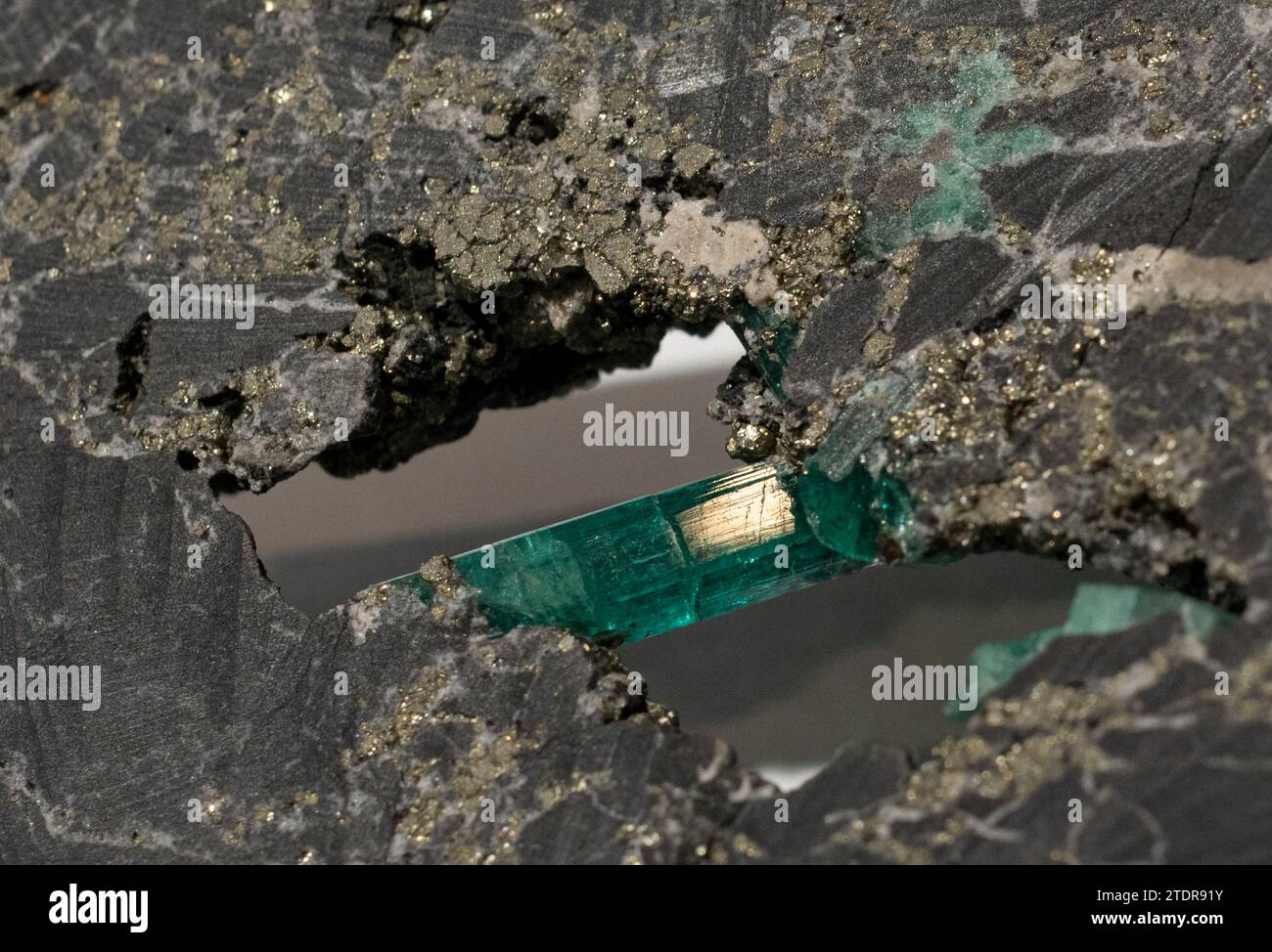 Emerald crystal on matrix from Chivor Mine, at Gema Andina, Bogota ...