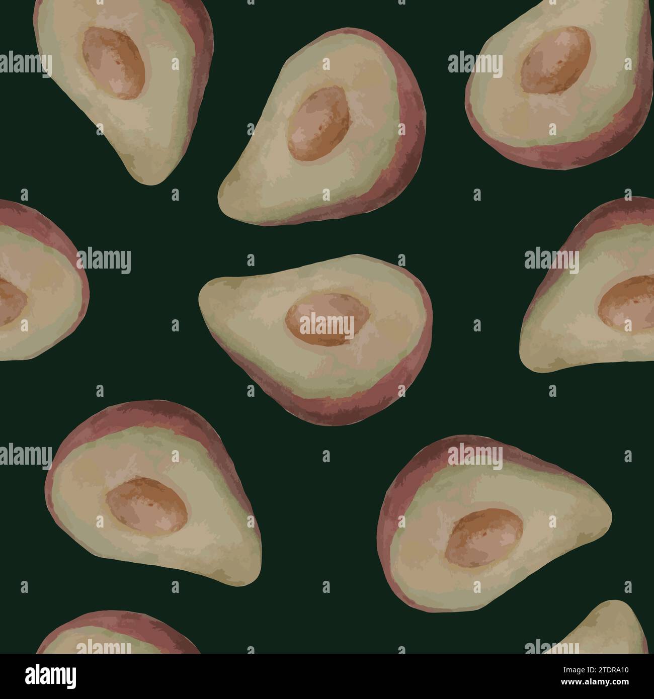 Vector isolated illustration of avocado pattern Stock Vector Image ...