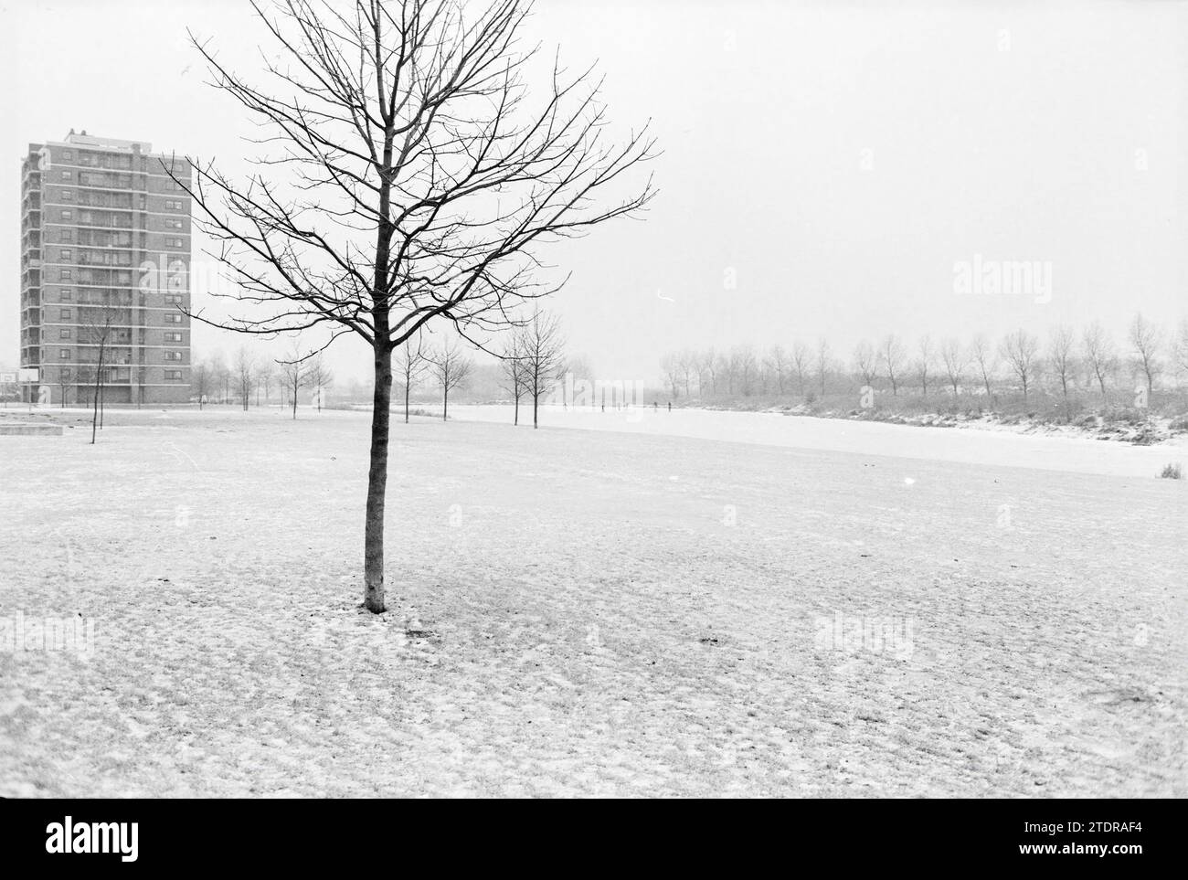 Reinalda park hi-res stock photography and images - Alamy