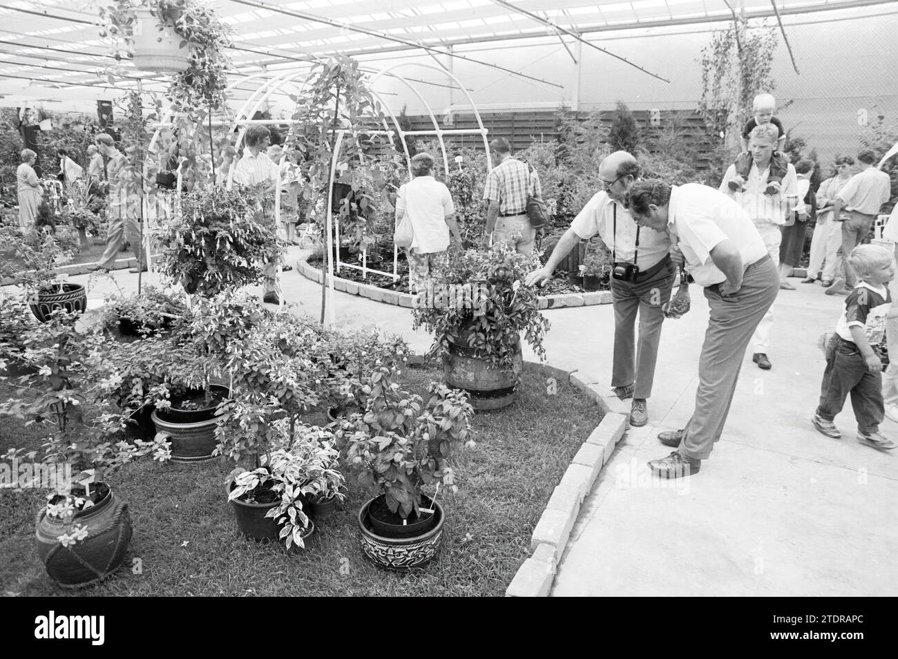 Jaap kooy tuincentrum hi-res stock photography and images - Alamy