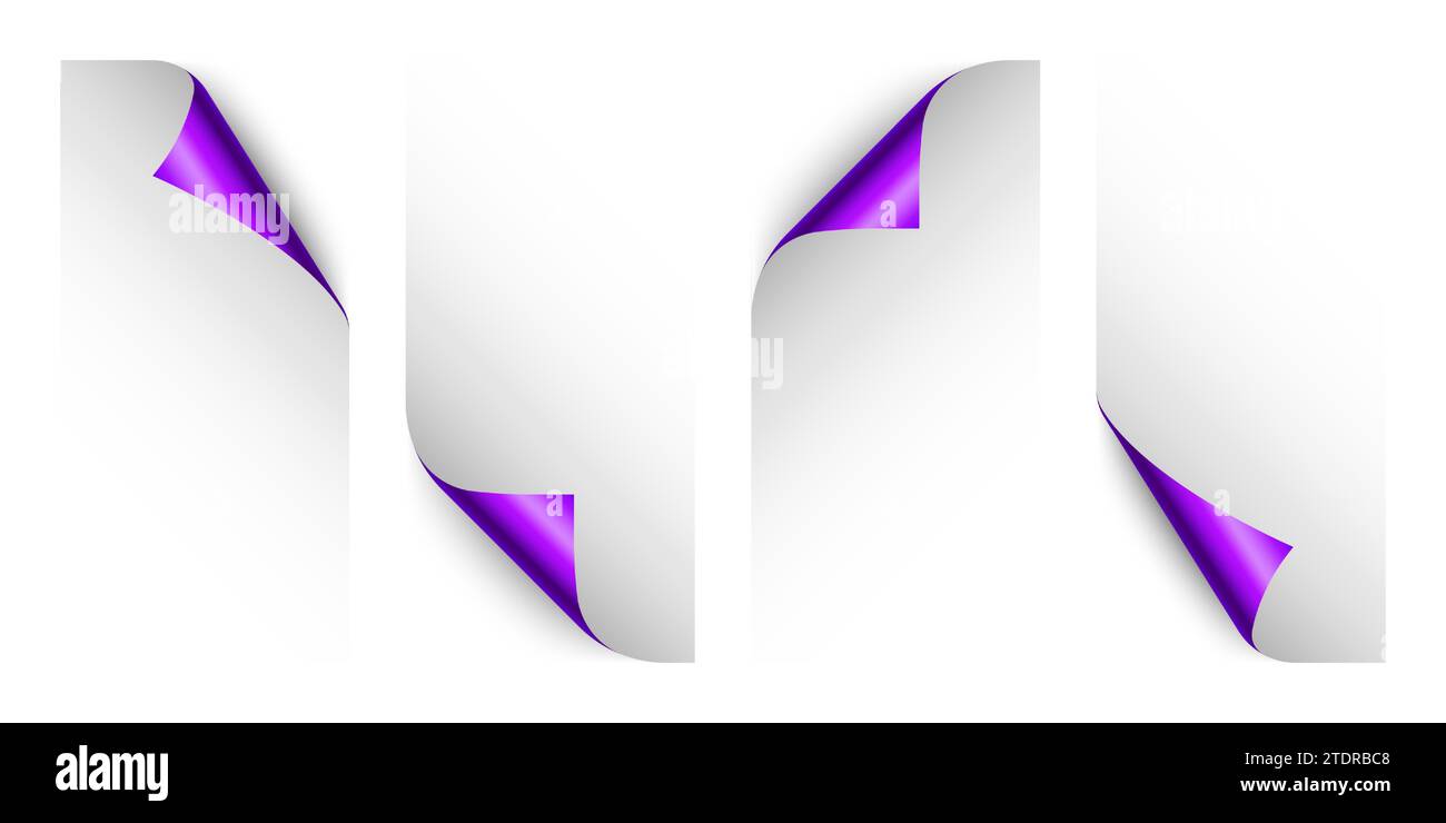 Set of violet paper curls. Curled page corner with shadow. Blank sheet ...