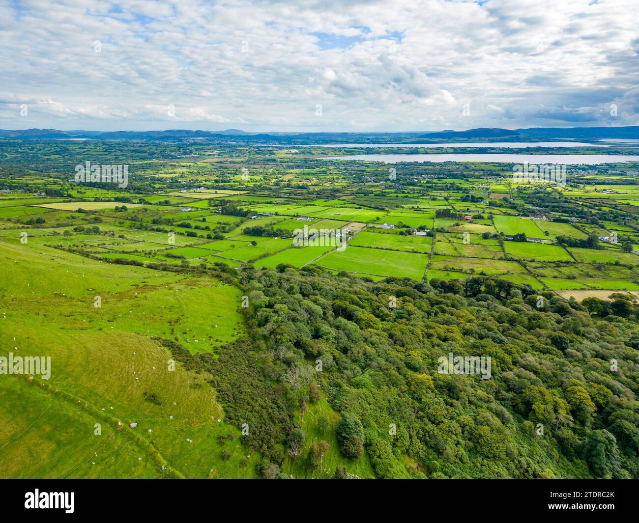 Barnaribbon hi-res stock photography and images - Alamy
