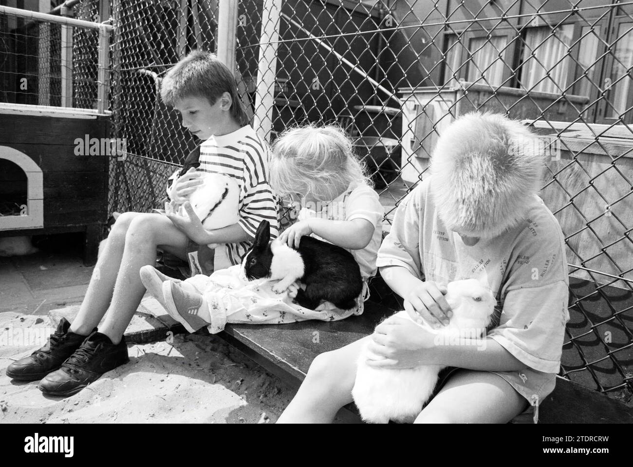 Cuddle corner de unicorn hi-res stock photography and images - Alamy