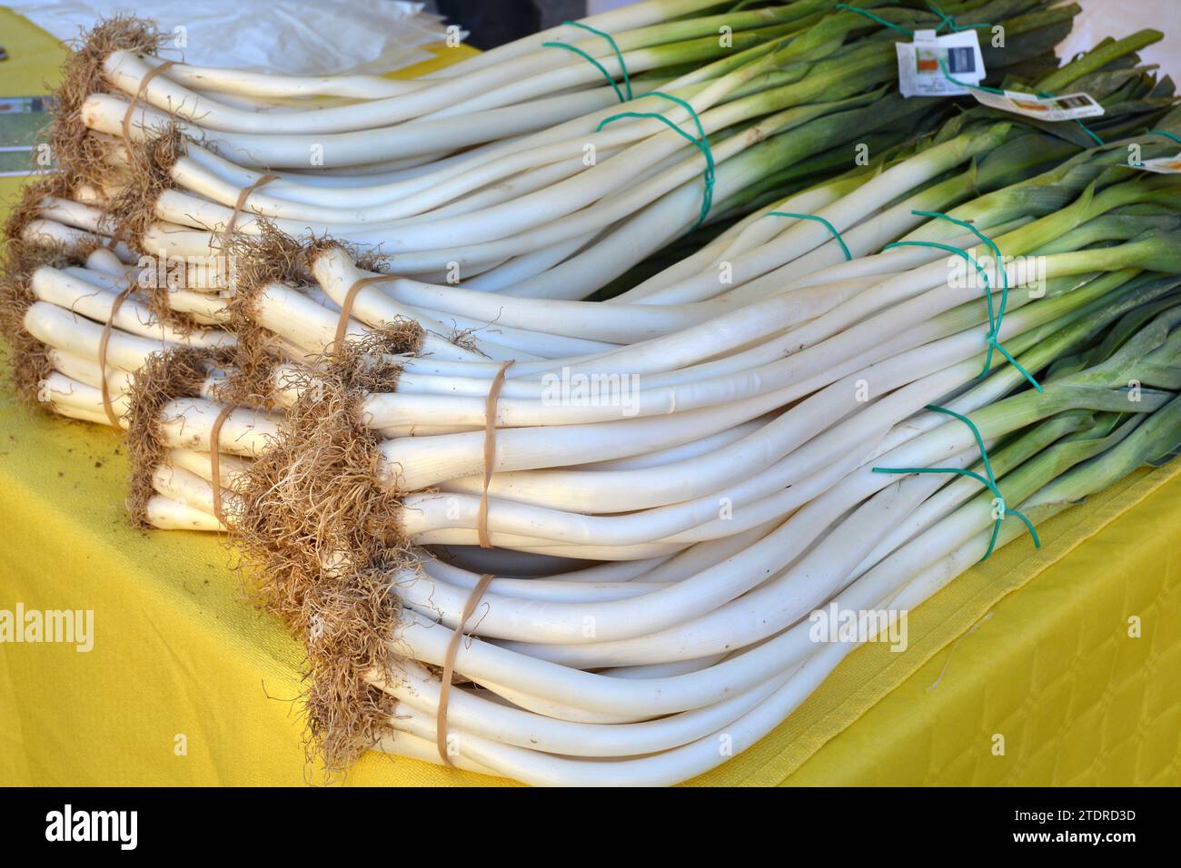 Leek bunches hi-res stock photography and images - Alamy