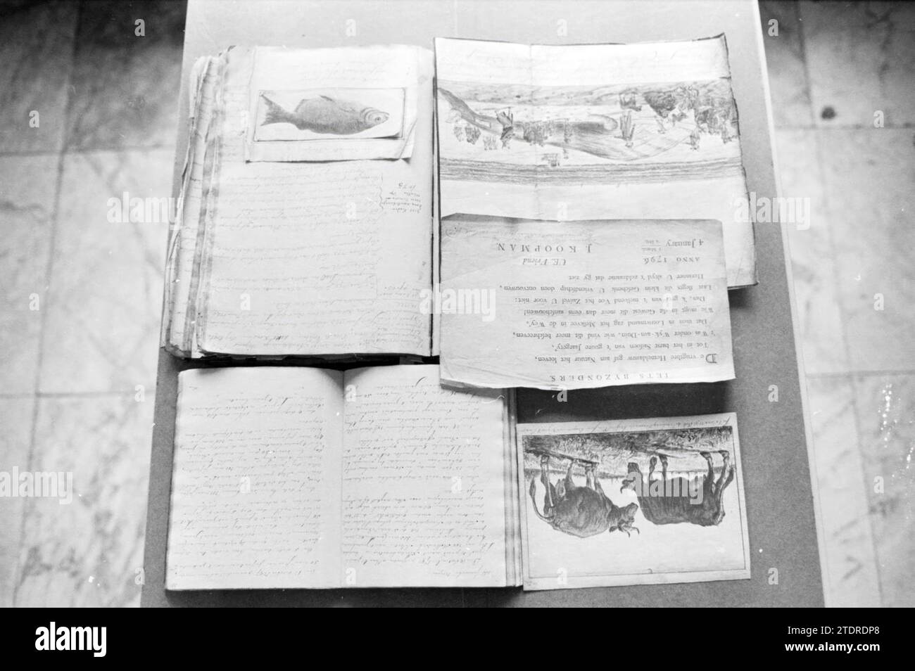 Books for Oudheidkamer, Beverwijk, Books and booksellers, Beverwijk ...