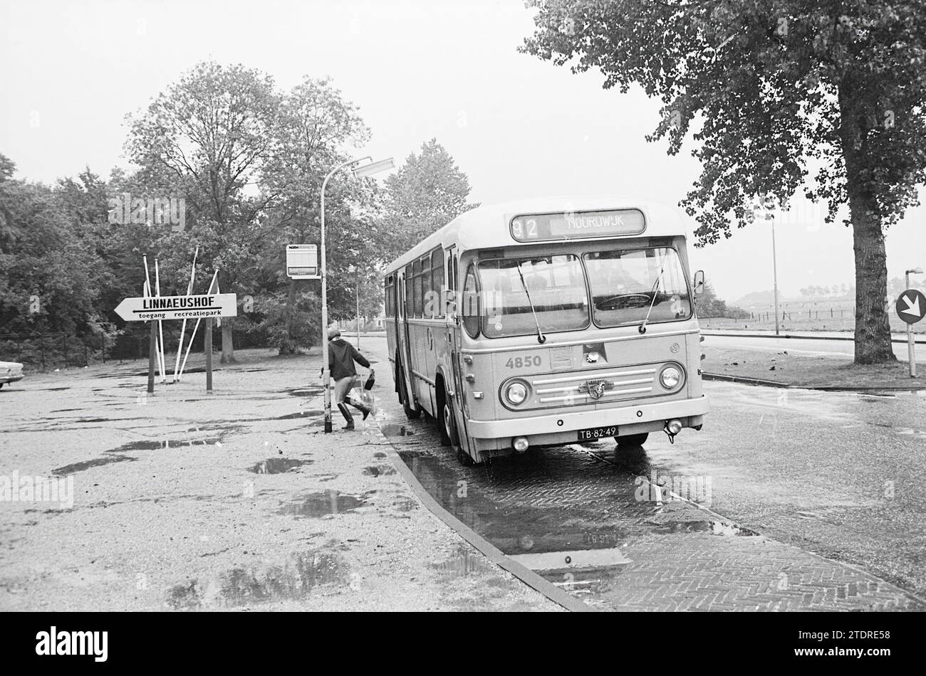 Bus stops Linnaeushof, Noord Zuid Hollandse Vervoersmaatschappij N.V ...