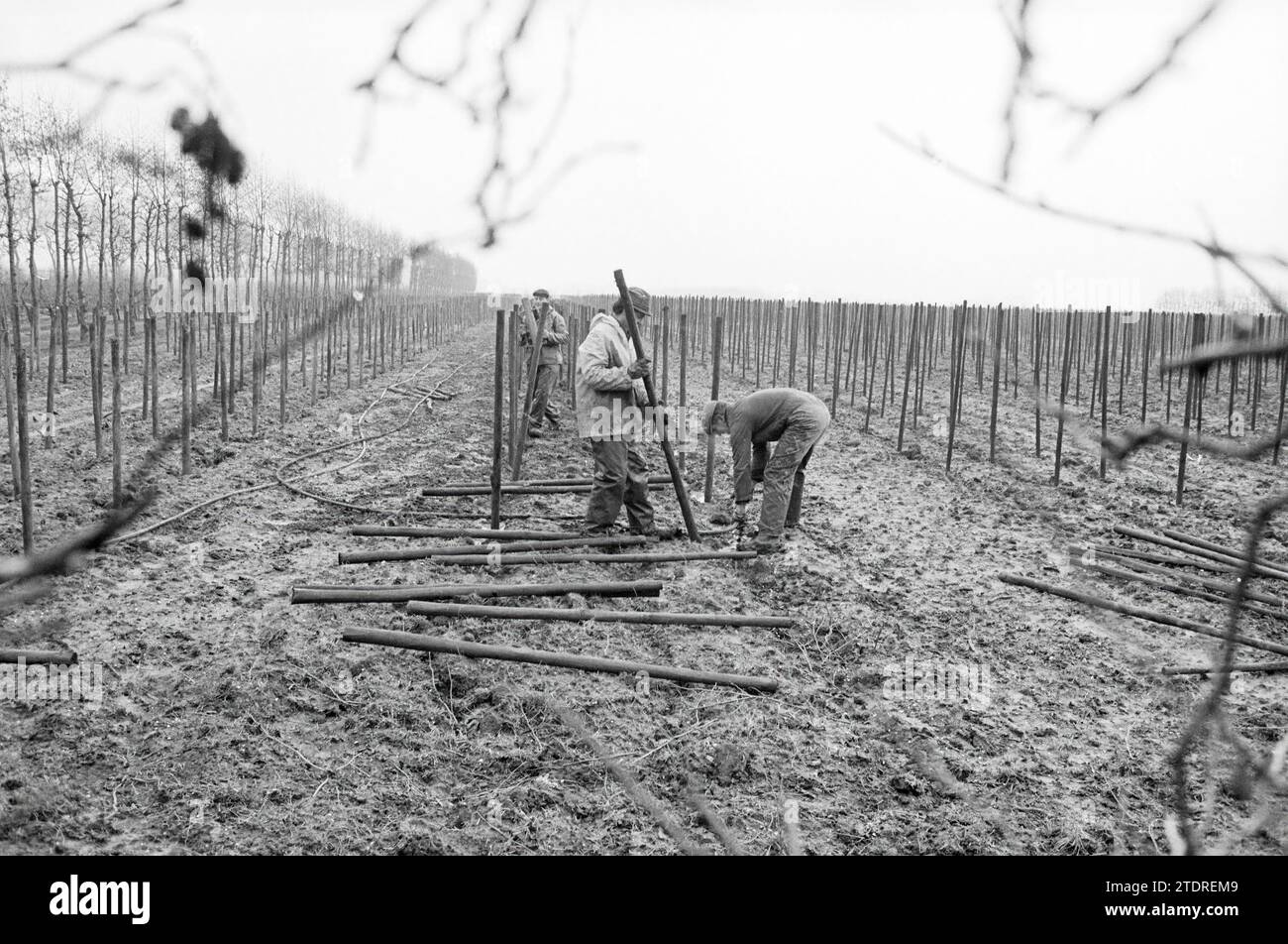15 02 1984 hi-res stock photography and images - Alamy