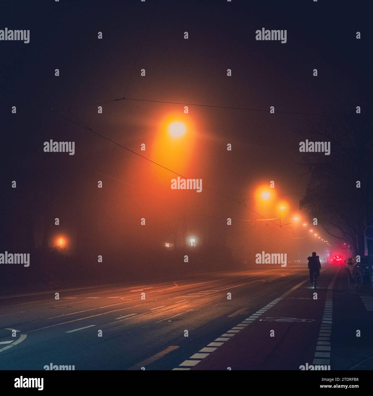 street light color during a foggy night in Germany Stock Photo - Alamy
