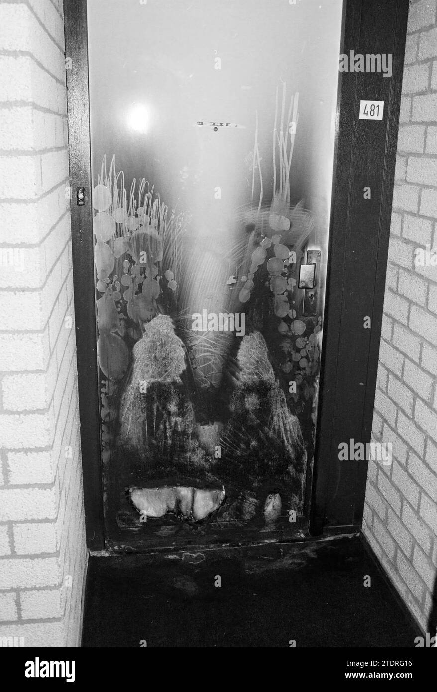 481 haarlem hi-res stock photography and images - Alamy