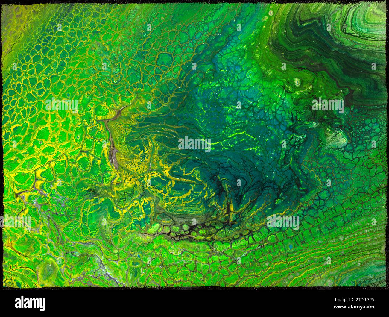 Abstract hand painted fluid or liquid art background with green and ...