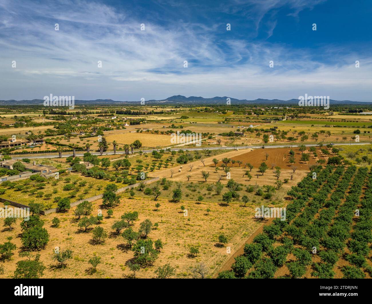 Arbre de verger de majorque hi-res stock photography and images - Alamy
