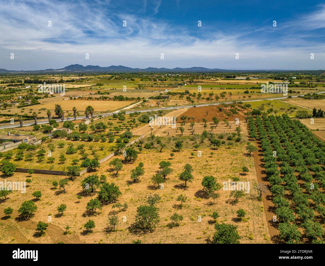 Arbre de verger de majorque hi-res stock photography and images - Alamy
