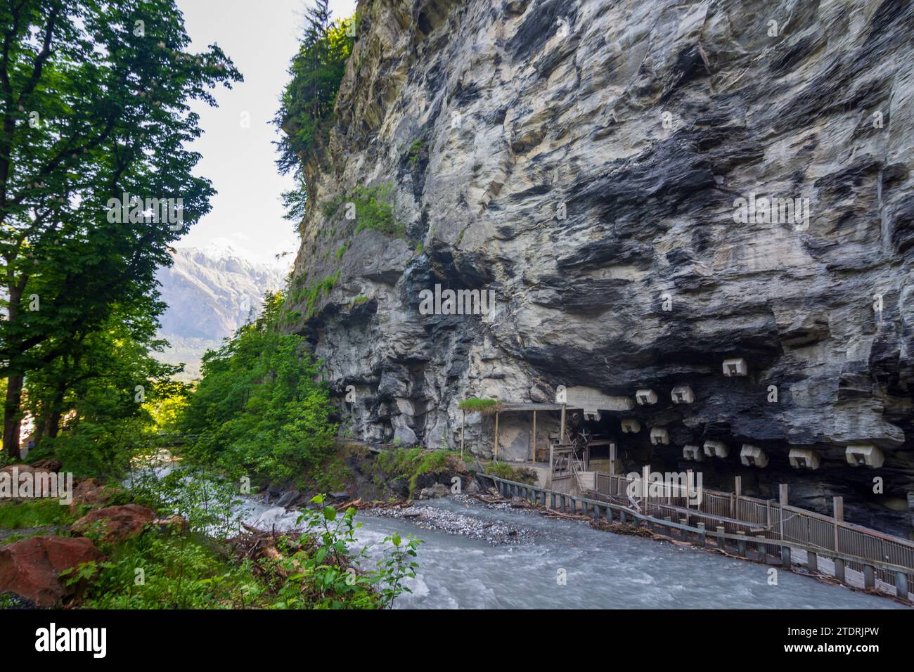 Bad Ragaz: Taminaschlucht (Tamina Gorge) in Sarganserland, St. Gallen, Switzerland Stock Photo ...