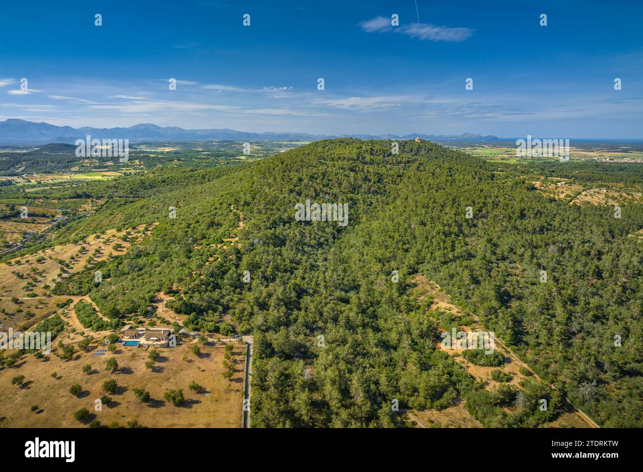 Arbre de verger de majorque hi-res stock photography and images - Alamy