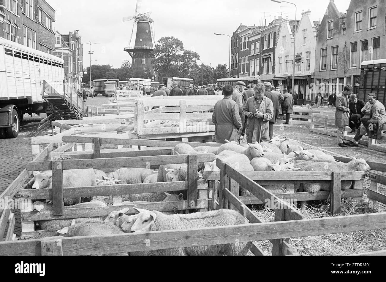 Oude veemarkt hi-res stock photography and images - Alamy