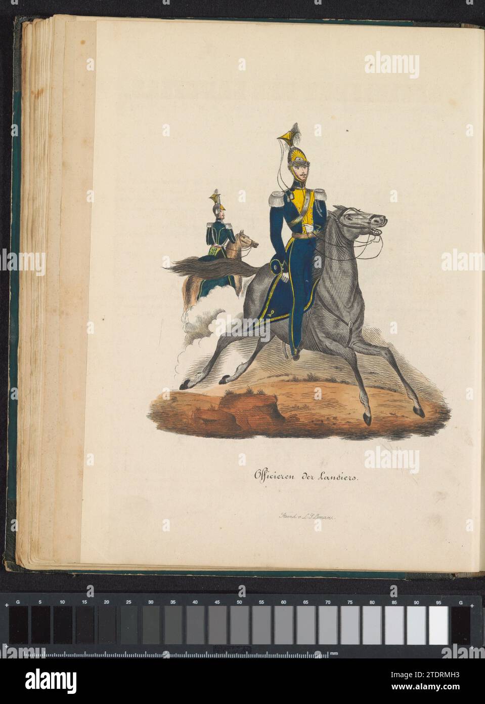 Dutch naval uniform hi-res stock photography and images - Alamy