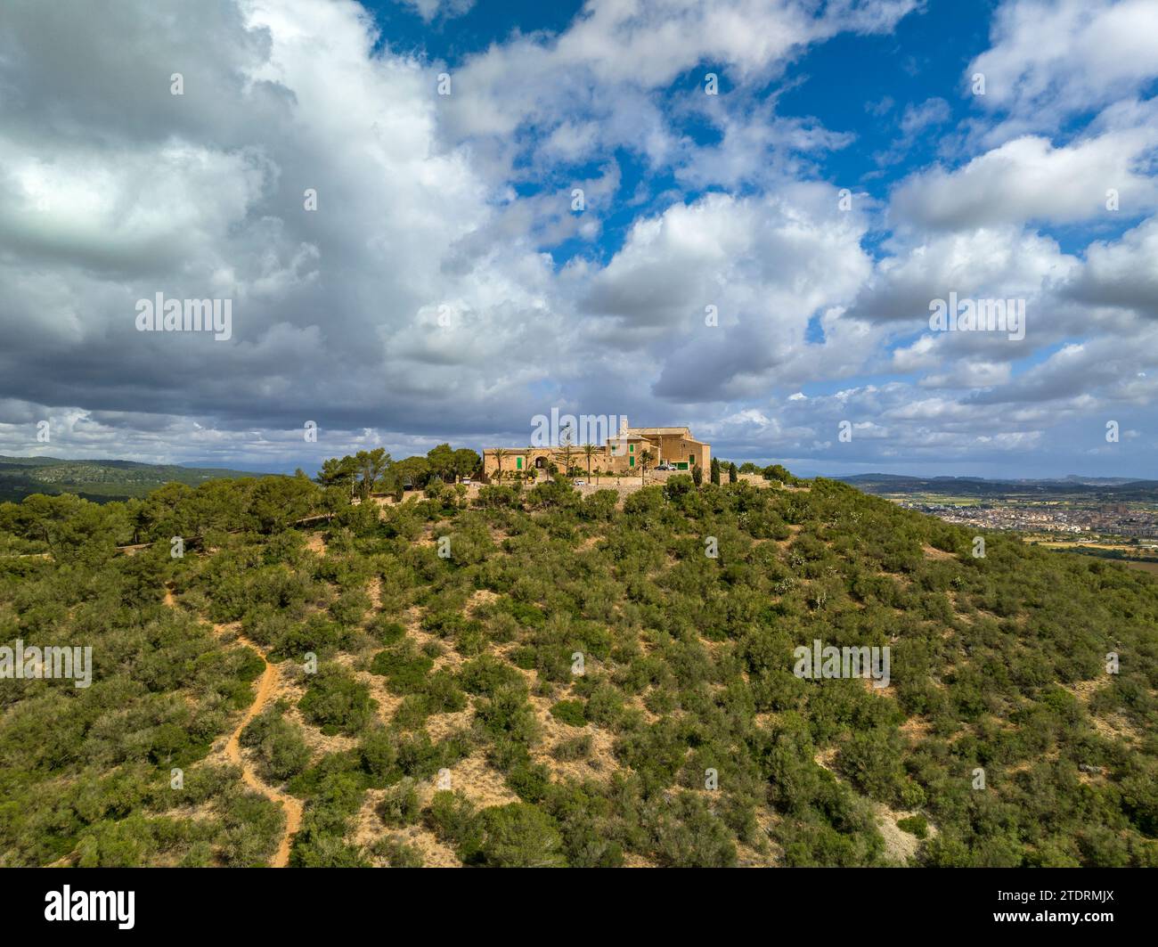 Bosque de sion hi-res stock photography and images - Alamy