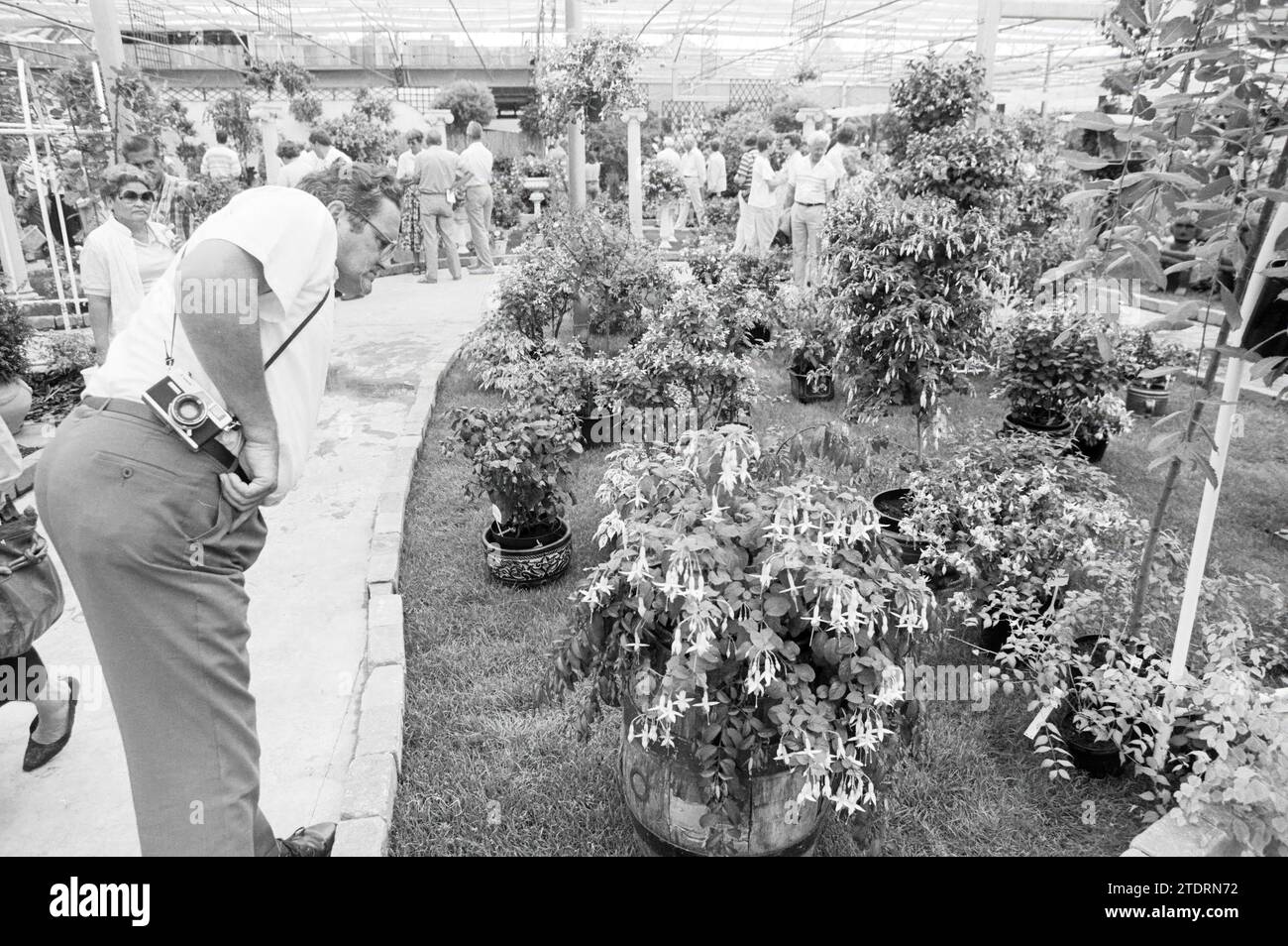 Jaap kooy tuincentrum hi-res stock photography and images - Alamy