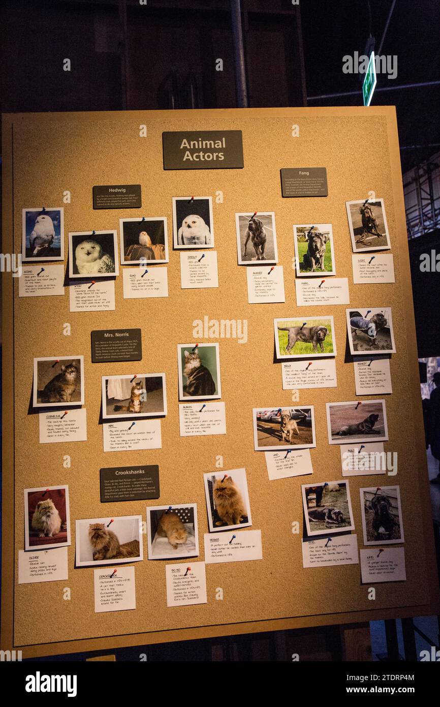 Emma watson harry potter studio hi-res stock photography and images - Alamy