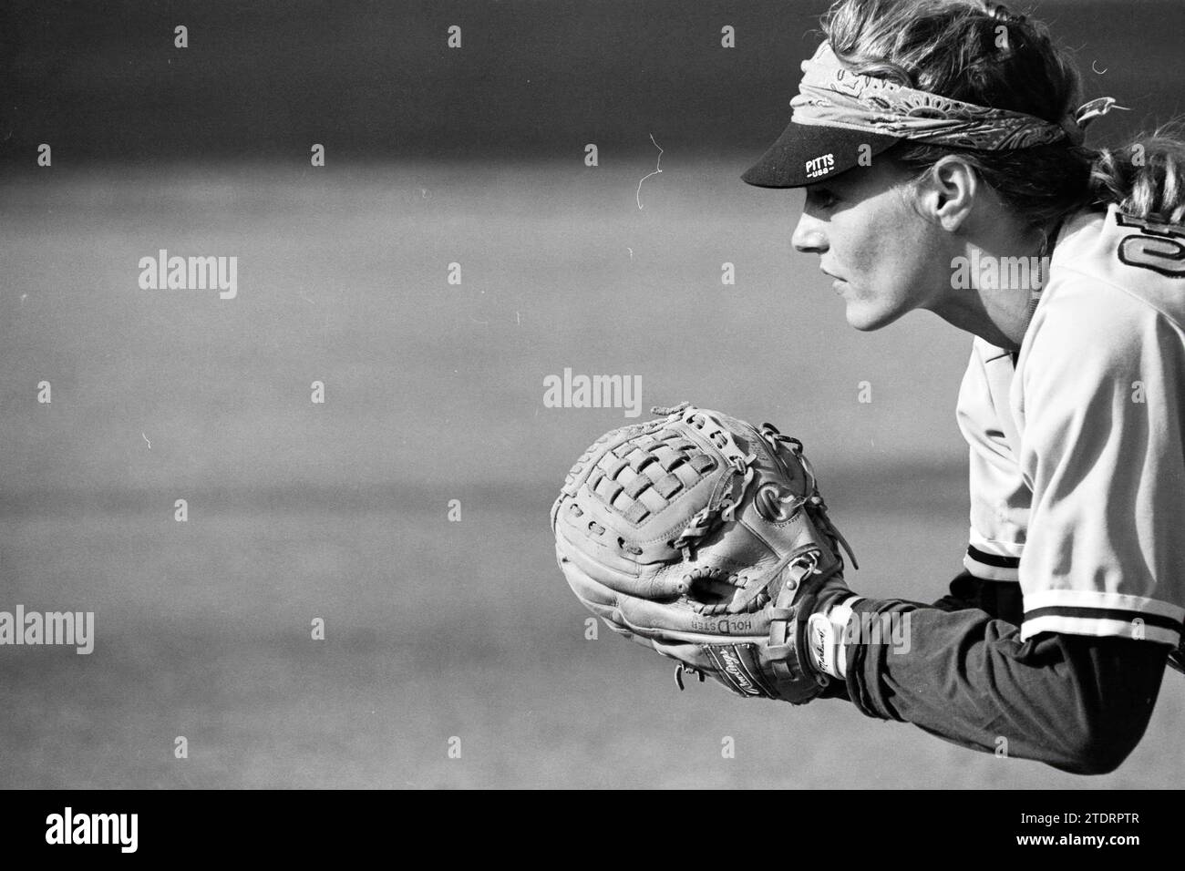 Softball terrasvogels hi-res stock photography and images - Alamy