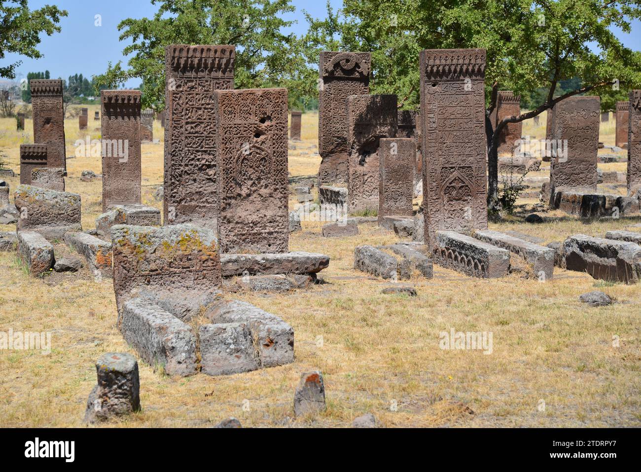 Ahlat Seljuk Cemetery in Ahlat, Bitlis, Turkey Stock Photo - Alamy