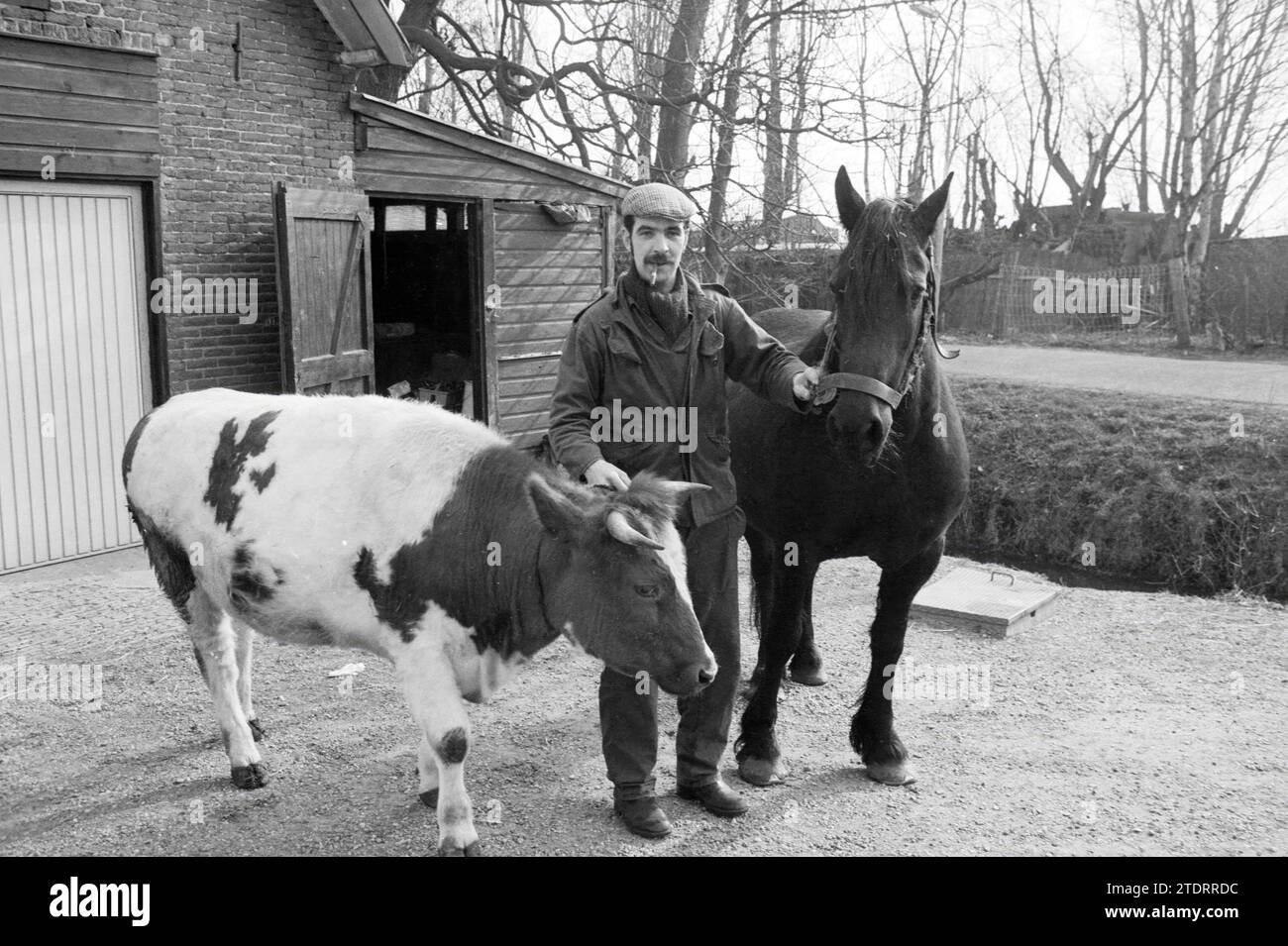 Farrier jansen hi-res stock photography and images - Alamy