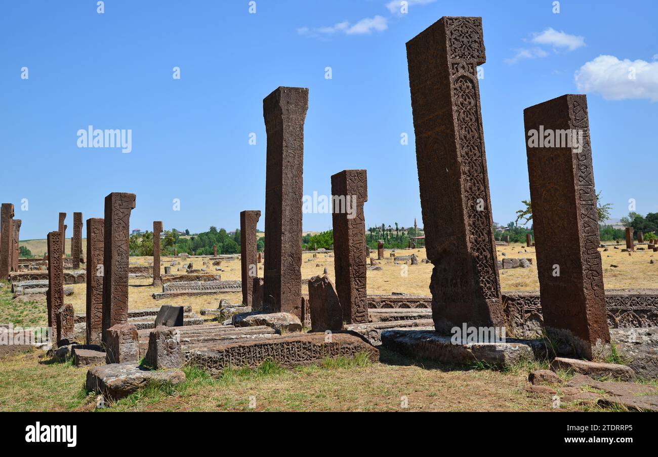 Ahlat Seljuk Cemetery in Ahlat, Bitlis, Turkey Stock Photo - Alamy