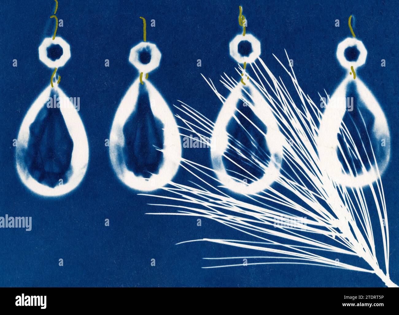 Cyanotype photogram of chandelier prisms with White Pine Stock Photo ...