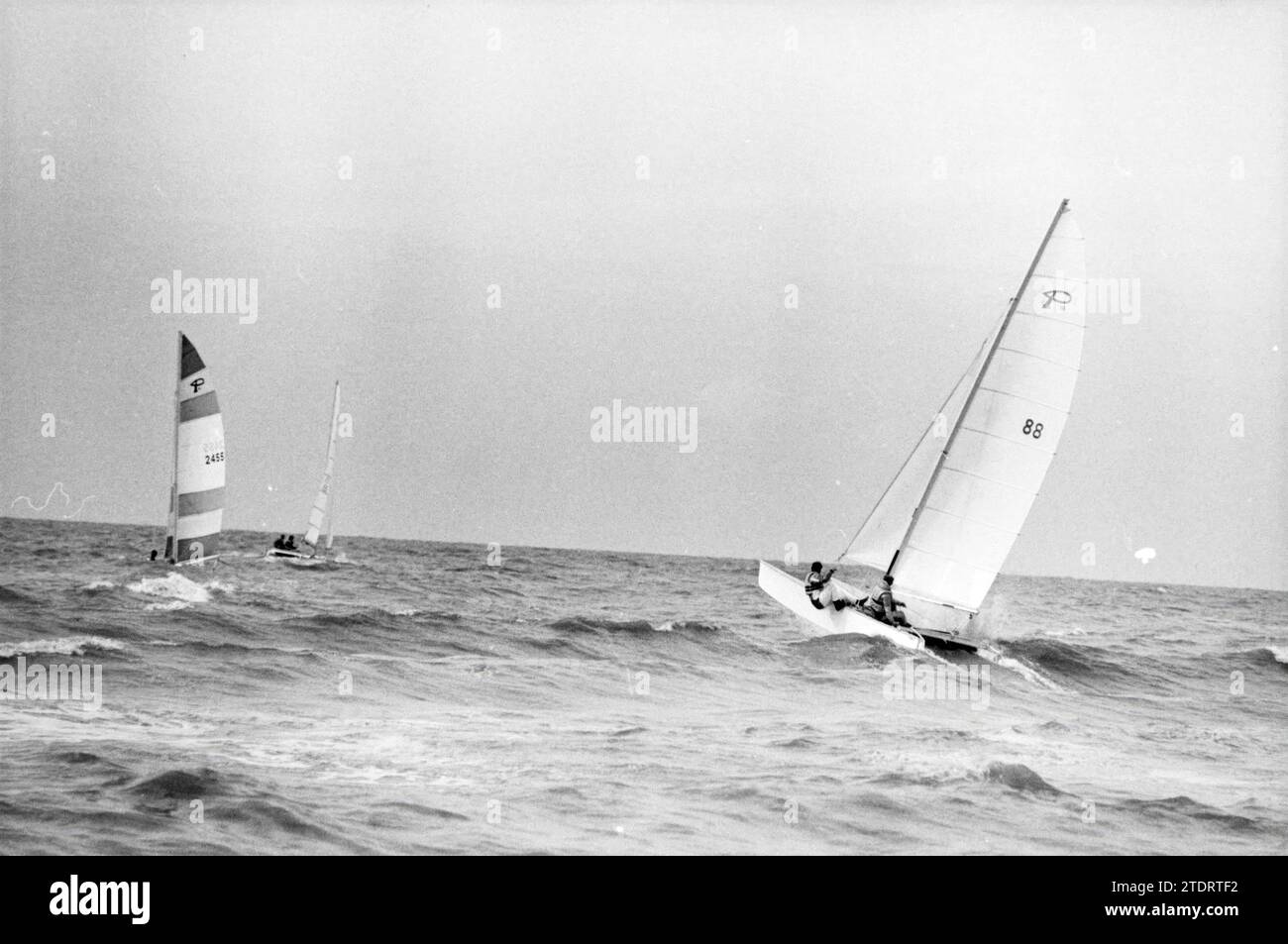European Championship catamaran sailing no 88., Sailing, 16-08-1985 ...