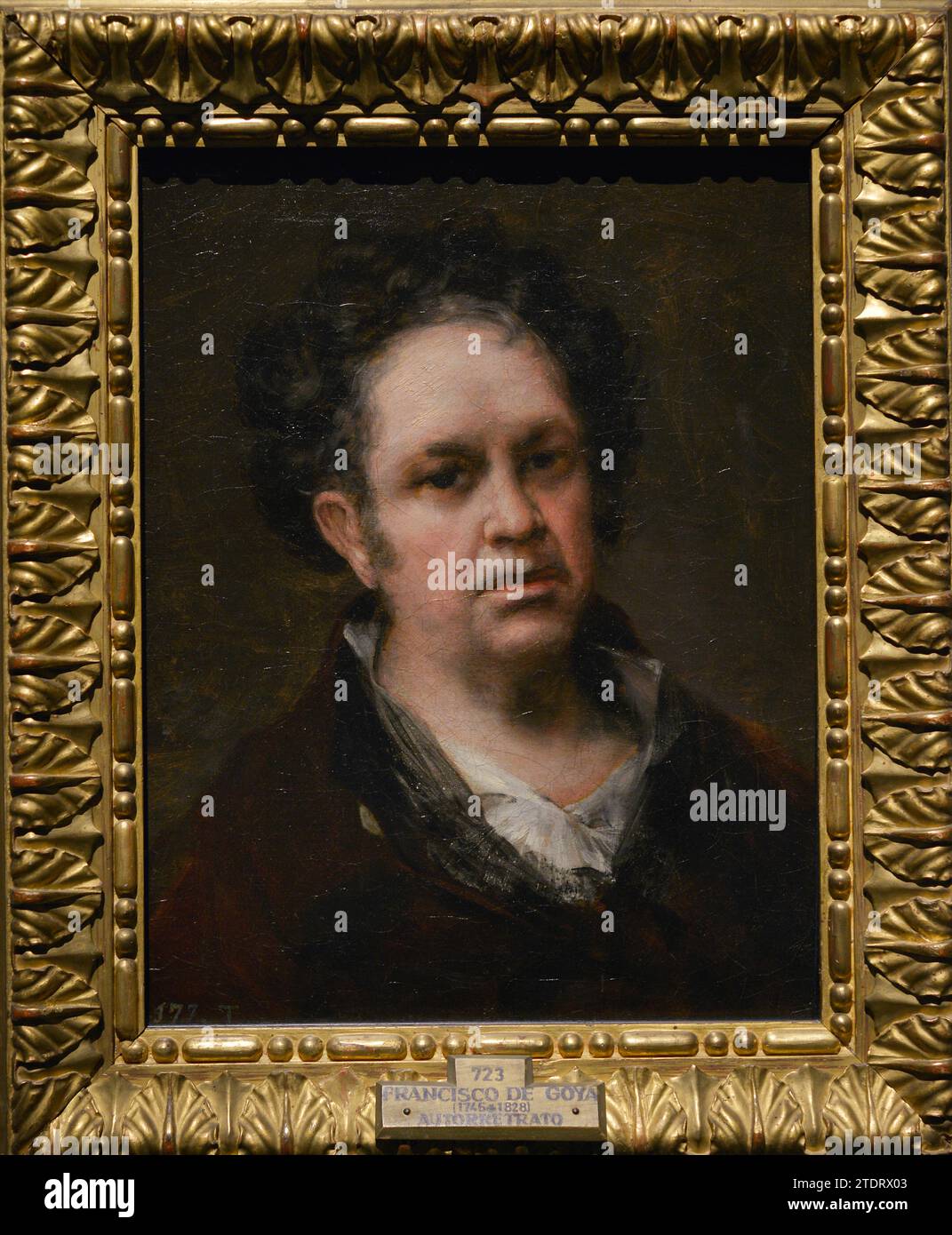 Francisco de Goya y Lucientes (1746-1828). Spanish painter. Self ...