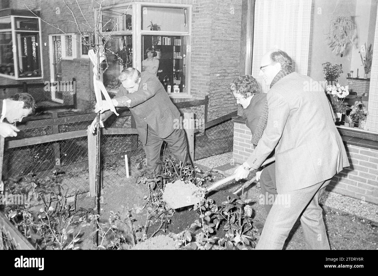Planting a tree in the front yard, 00-00-1972, Whizgle News from the ...