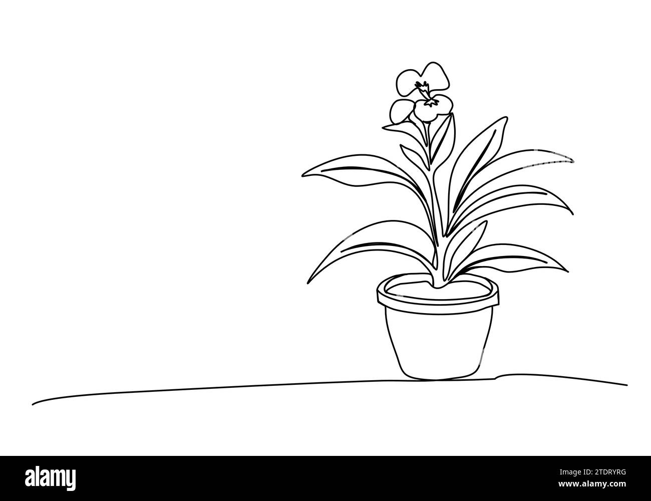 Houseplant, one line drawing vector illustration Stock Vector Image ...