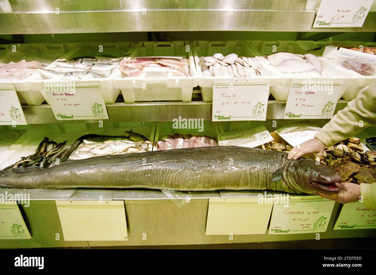 Henk schoorl fishmonger hi-res stock photography and images - Alamy