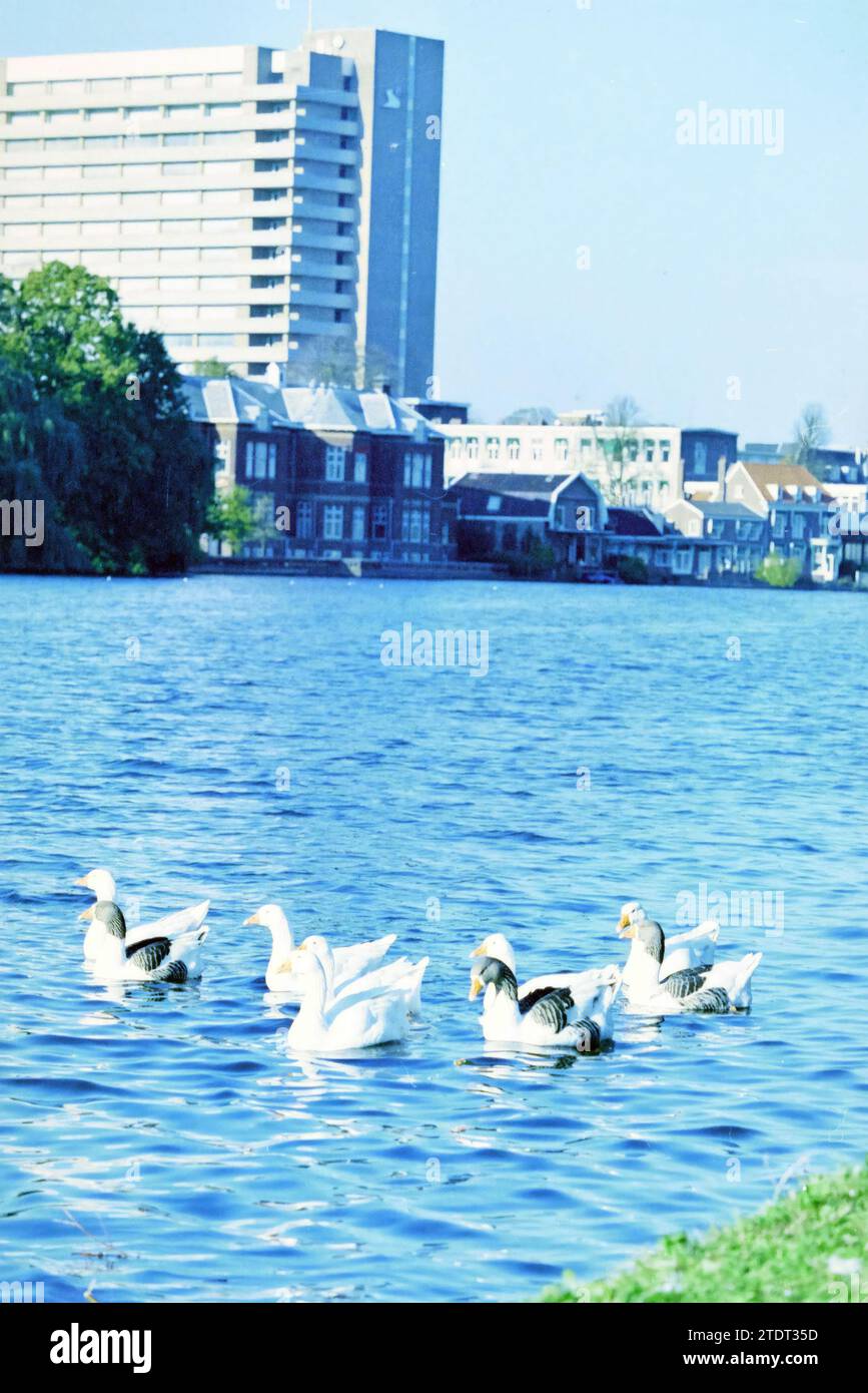 Mariastichting high rise hospital hi-res stock photography and images ...