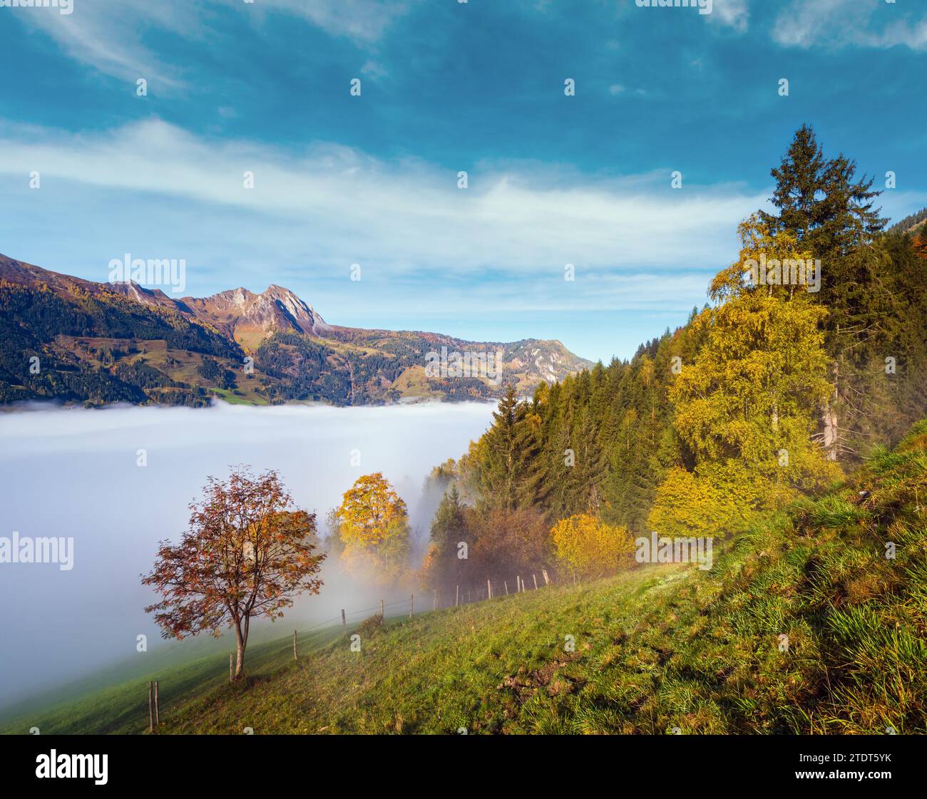 Sunny idyllic autumn alpine scene. Peaceful misty morning Alps mountain ...
