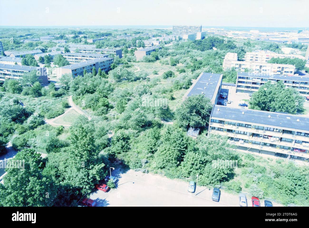 Sterflat zeewijk hi-res stock photography and images - Alamy