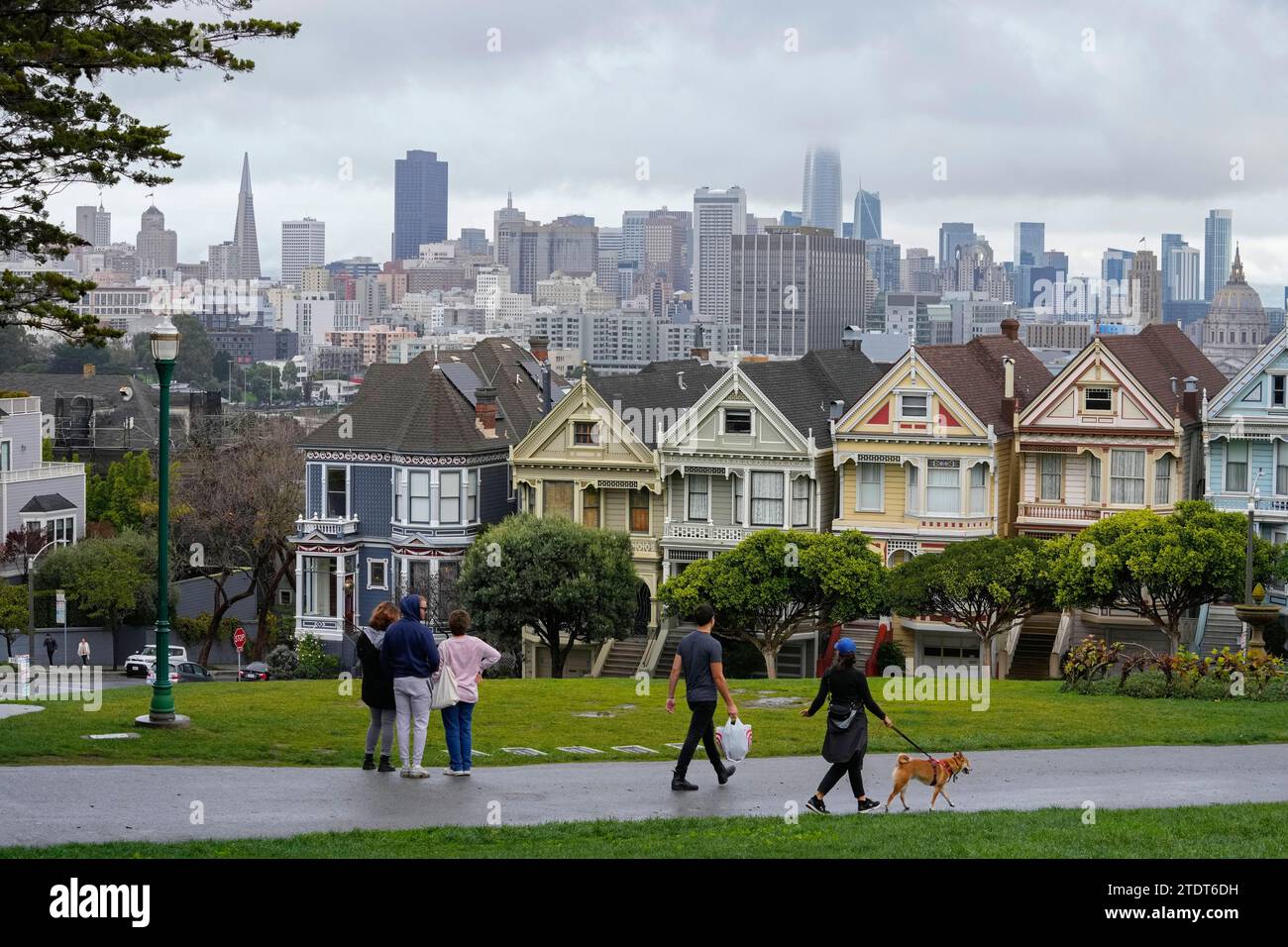 People in Alamo Square look out at "The Painted Ladies" row of ...