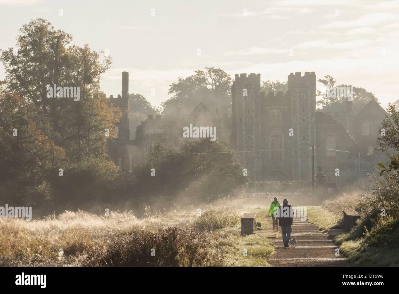 England, West Sussex, Midhurst, Ruins of Cowdray House Stock Photo - Alamy